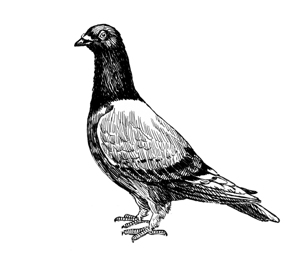 Mr Postles Apothecary | Bar & Restaurant | Cocktails & Beers